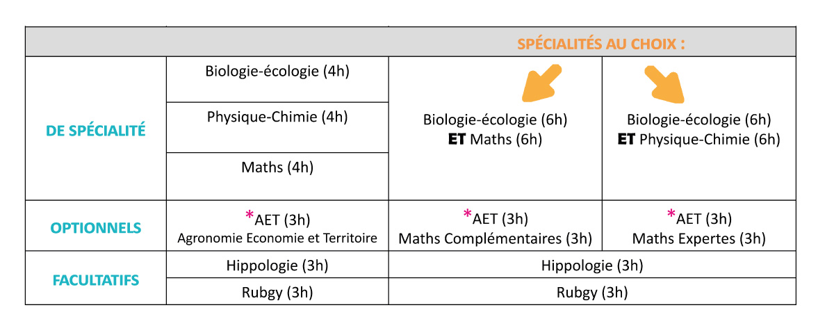 Bac général scientifique en lycée public | Le Paraclet