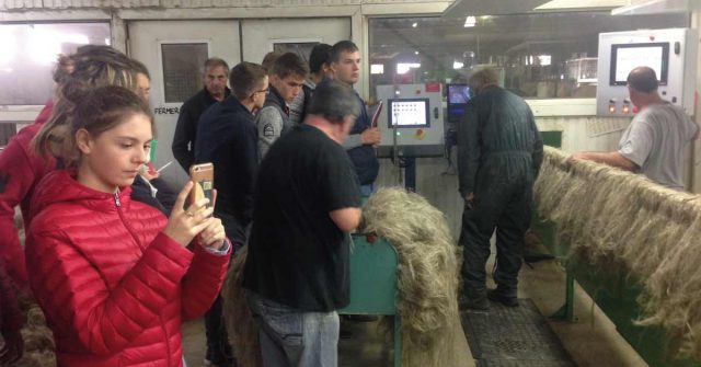 Comprendre le cycle de production du lin - Le Paraclet