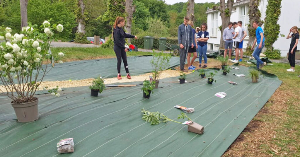 Création d’un massif floral au cœur du campus - Le Paraclet